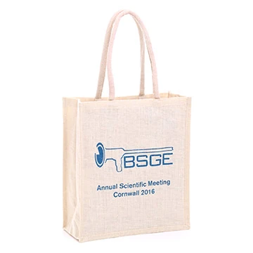 BSGE Conference - GoJute International